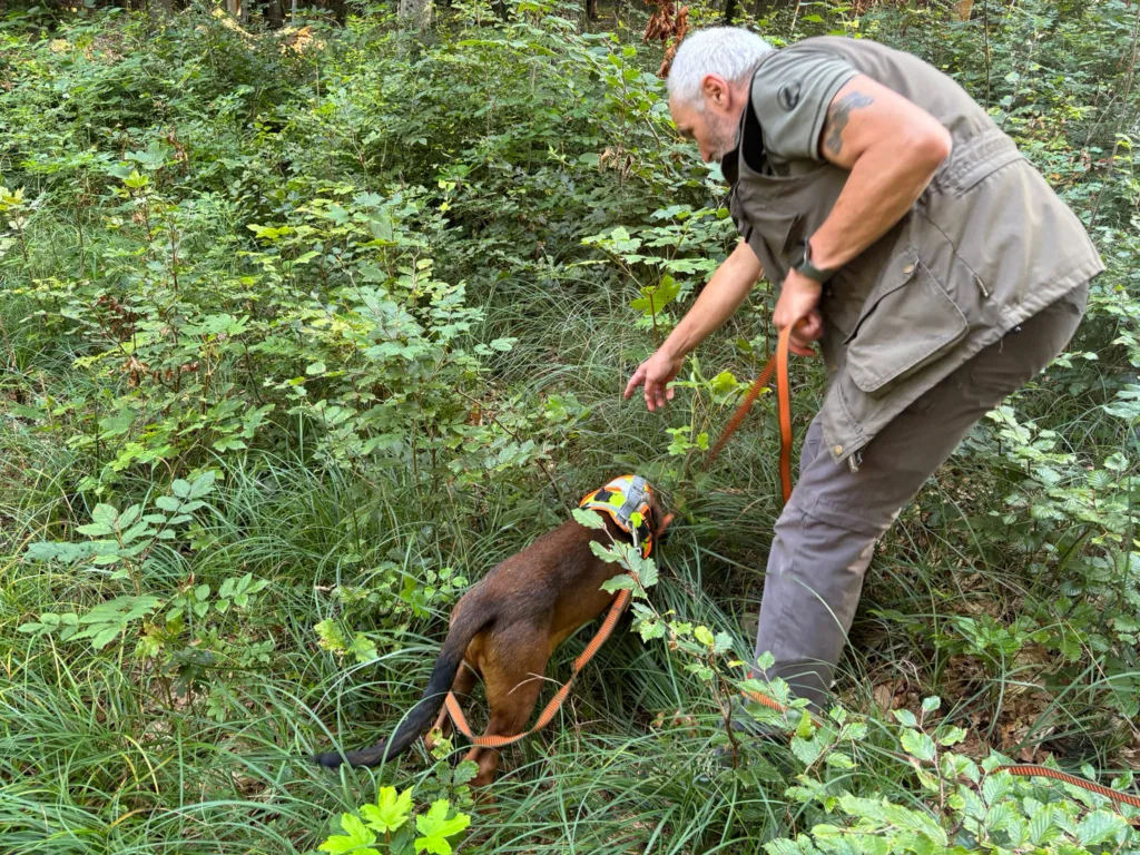 Schweisshundegruppe - Jägervereinigung